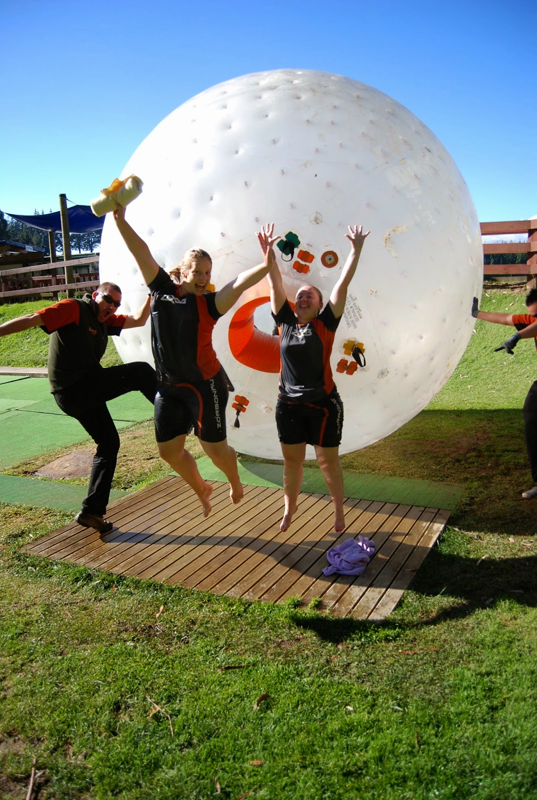 Zorbing: Having A Ball In New Zealand - Youth Journalism International