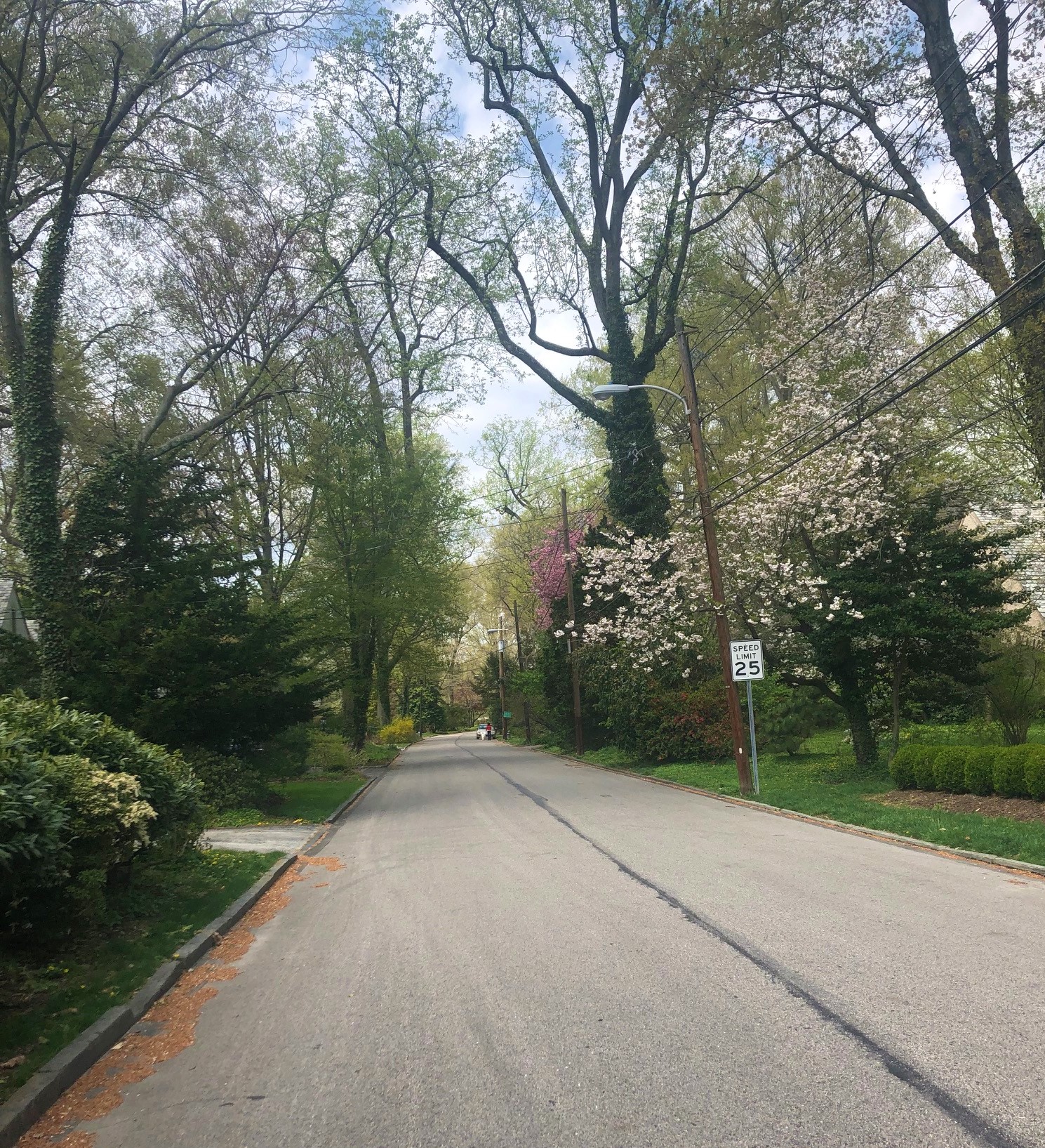 My hometown: living in an affluent Pennsylvania bubble - Youth ...