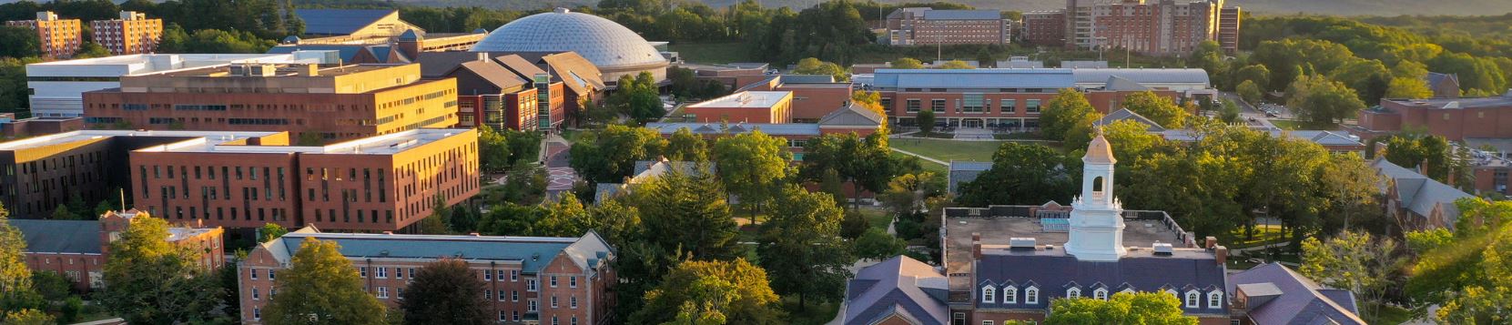 Cartoon: Let's see some hustle - Youth Journalism International