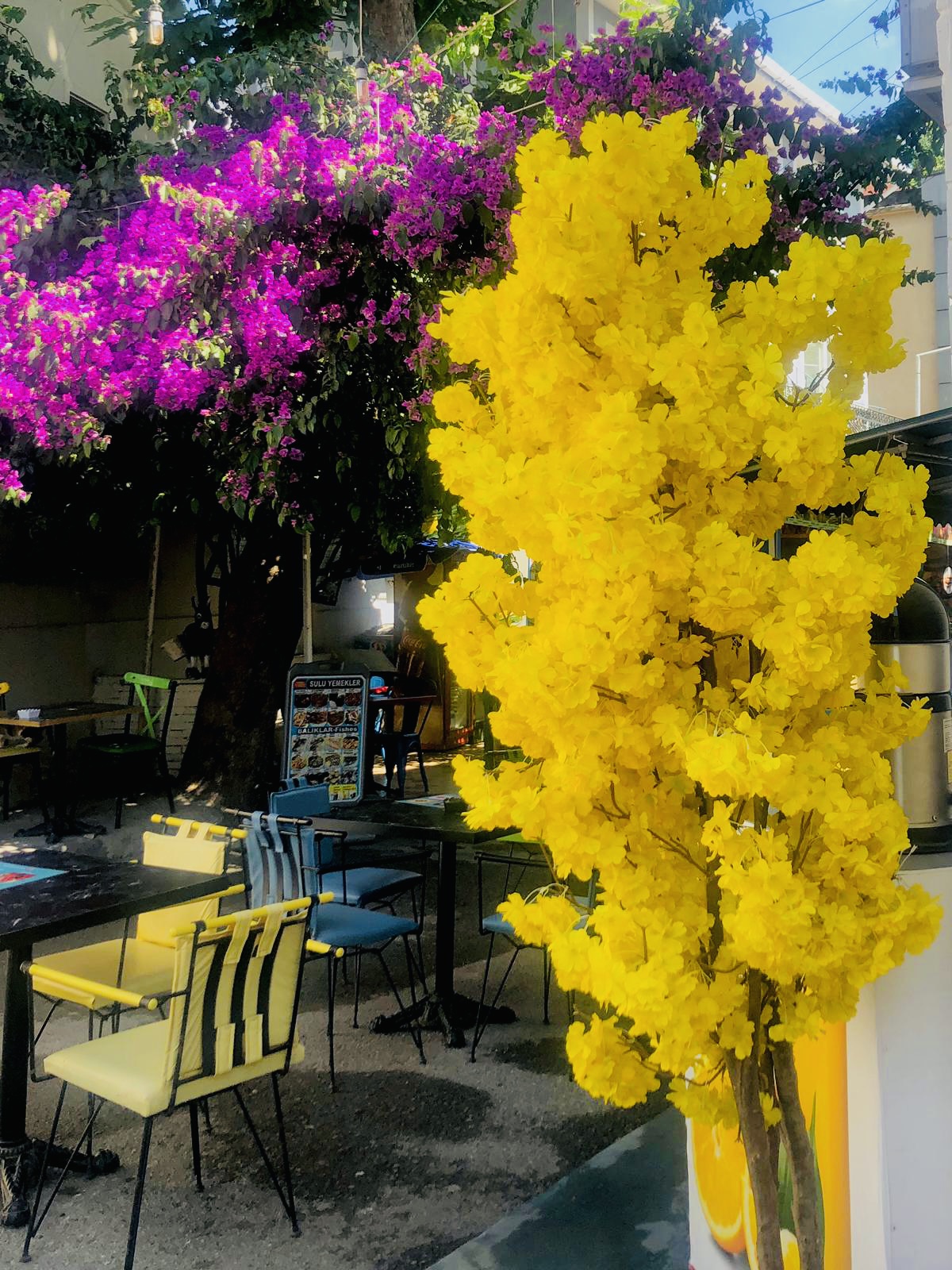 Take time to notice the Turkish flowers - Youth Journalism International