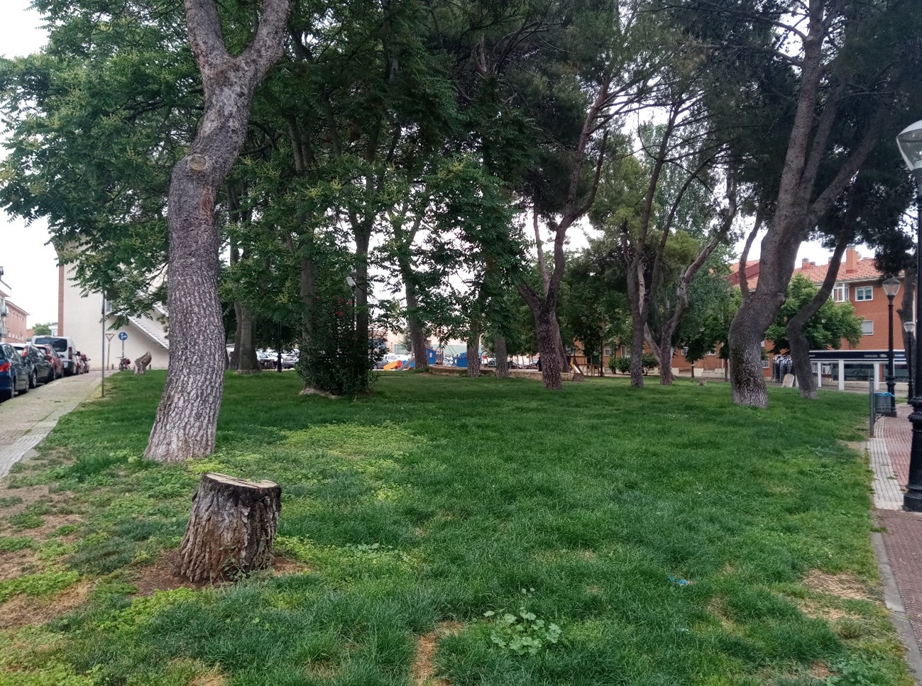 My hometown of Velilla: a small, relaxing place in Spain - Youth ...