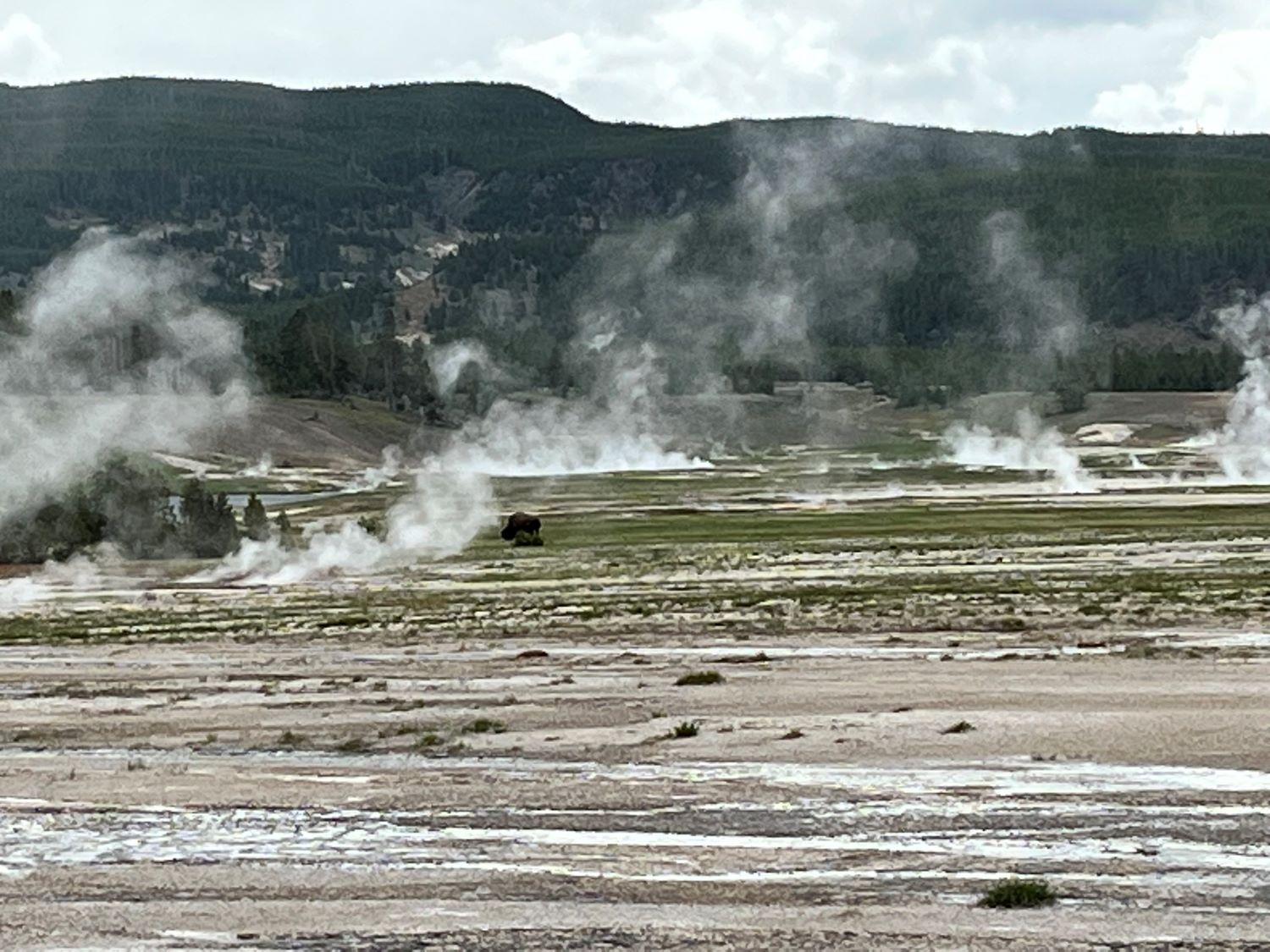 A summer journey to Yellowstone National Park - Youth Journalism ...