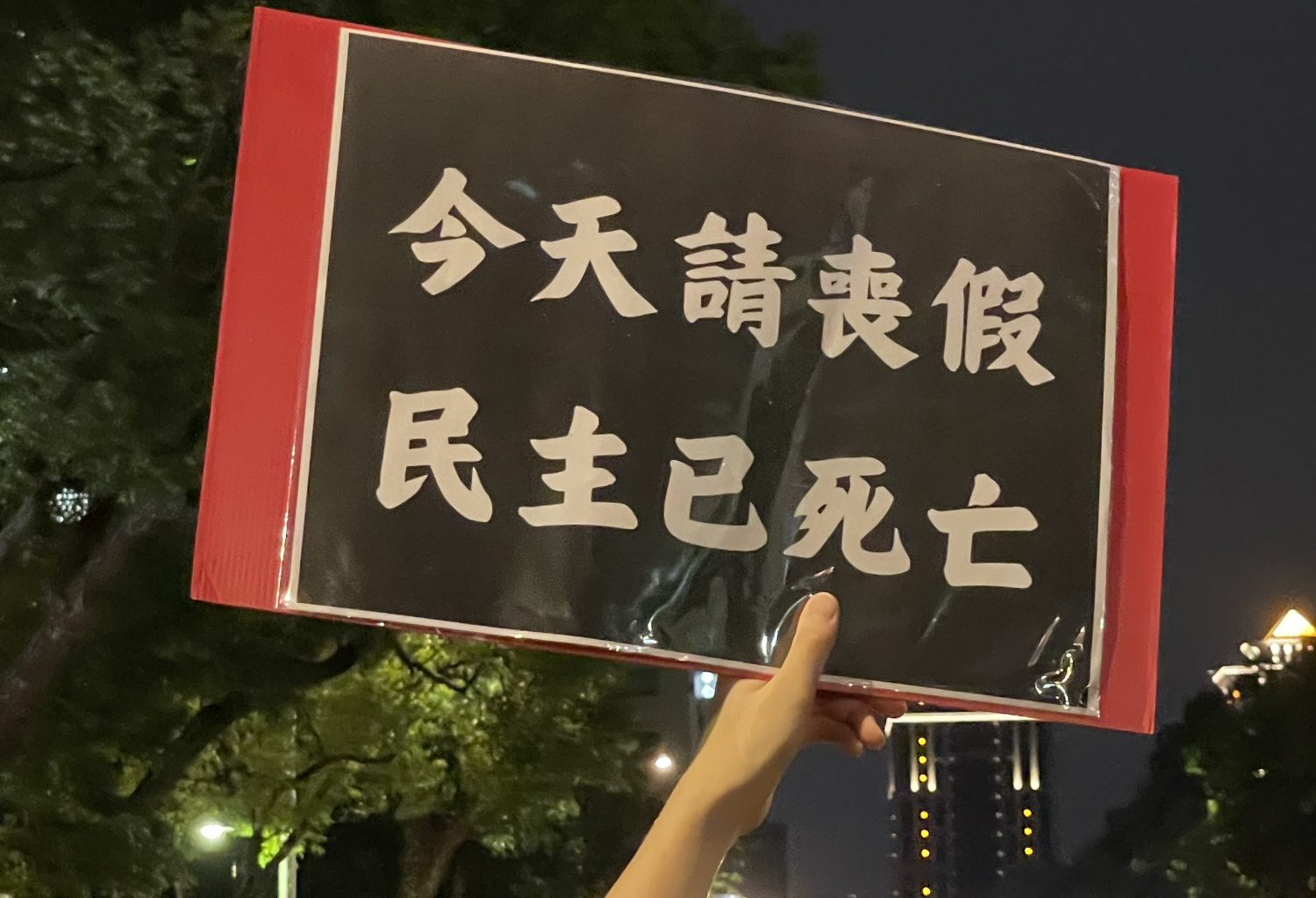 Taiwanese 'bluebirds' protest Chinese influence in Parliament - Youth ...