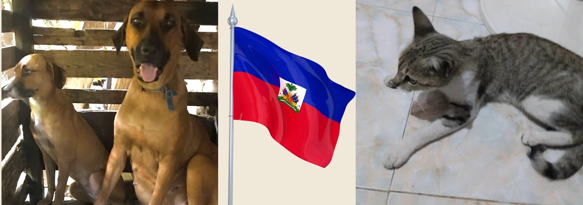 Home - Youth Journalism International