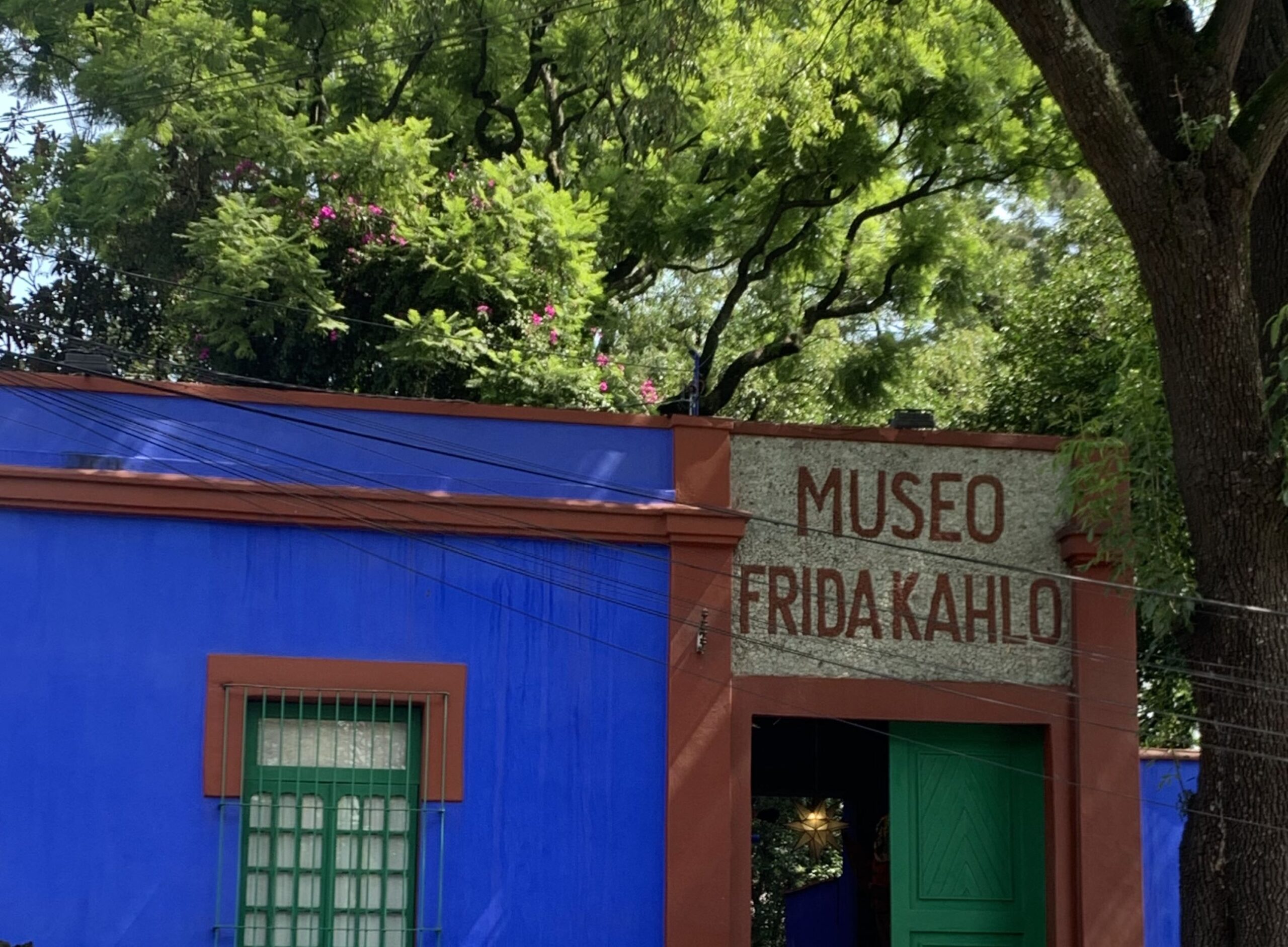 Film 'Frida' too focused on her husband, not enough on her life - Youth ...