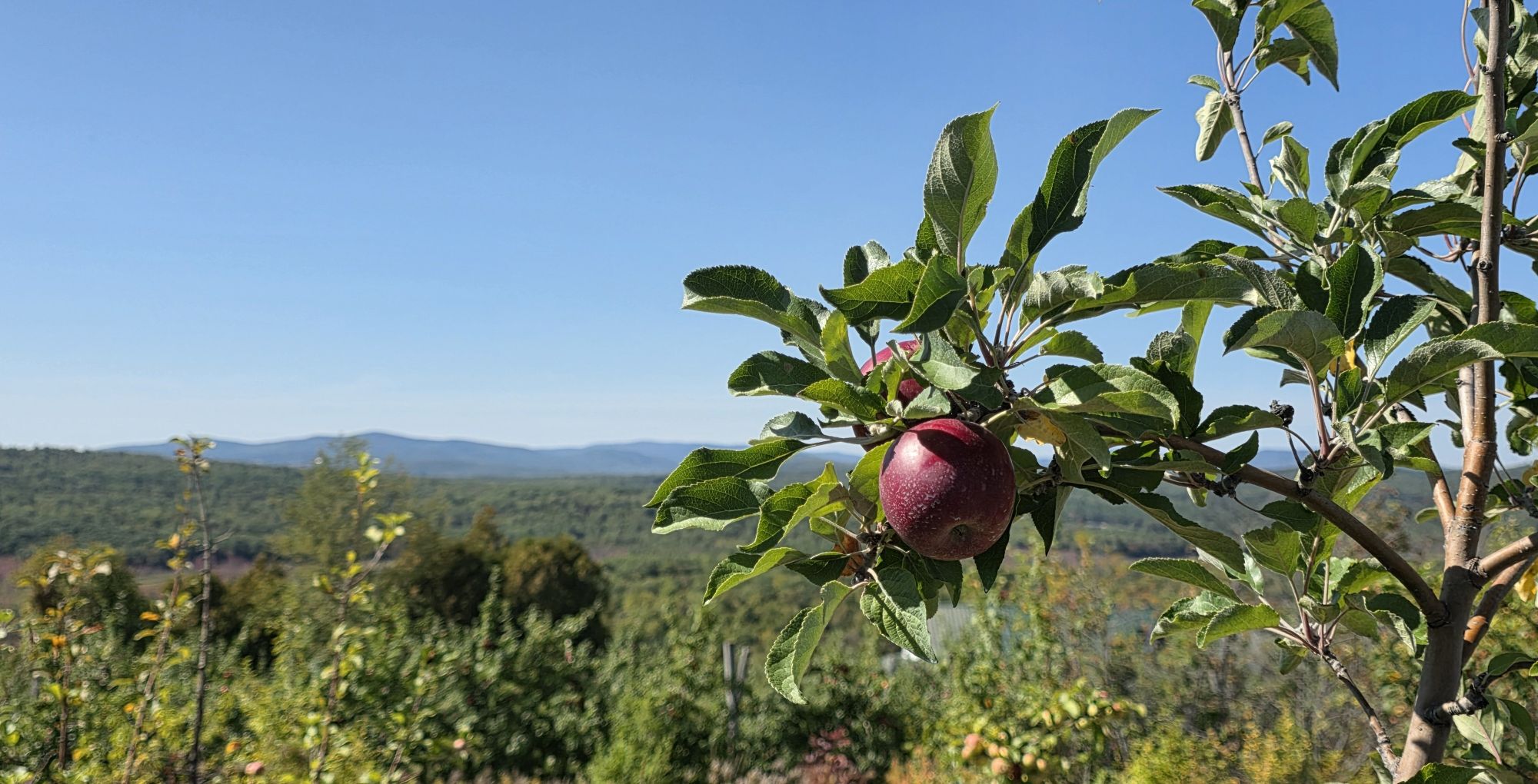 Contest - Youth Journalism International